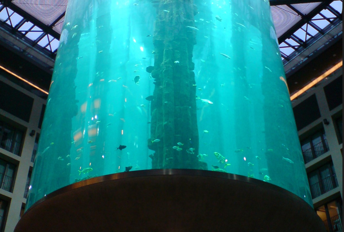 Sea and spectacle: the first Berlin Aquarium – In the Jungle of Cities